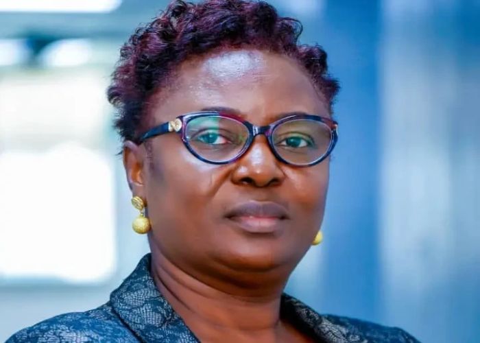 Eko DisCo names Rekhiat Momoh acting MD after removing Tinuade Sanda ...